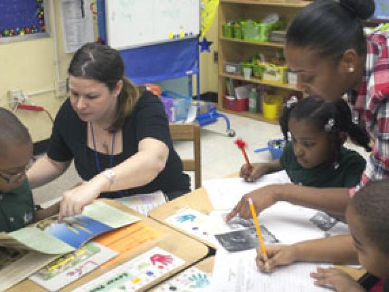 Job opportunities for new applicants