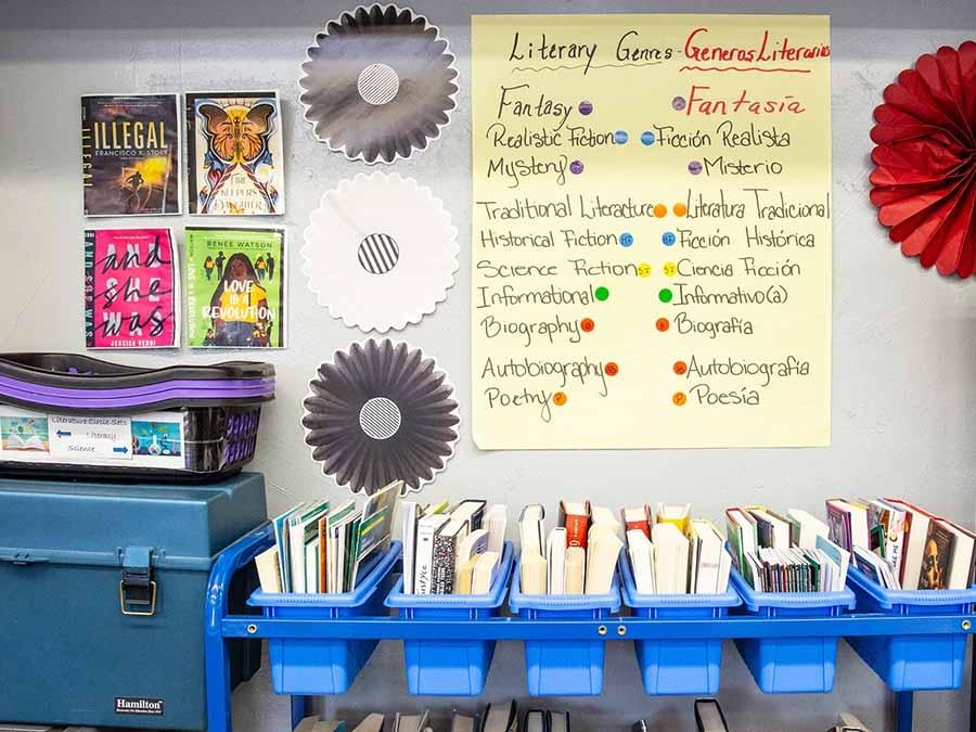 Books in English and Spanish