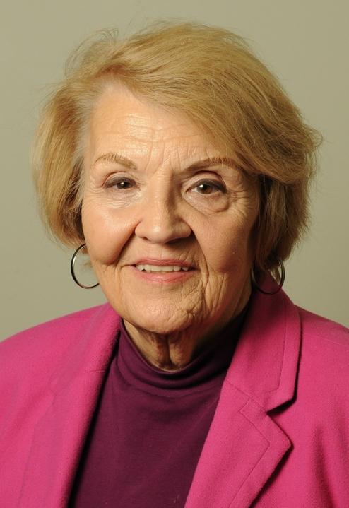 Supplemental Health Insurance Program (SHIP)