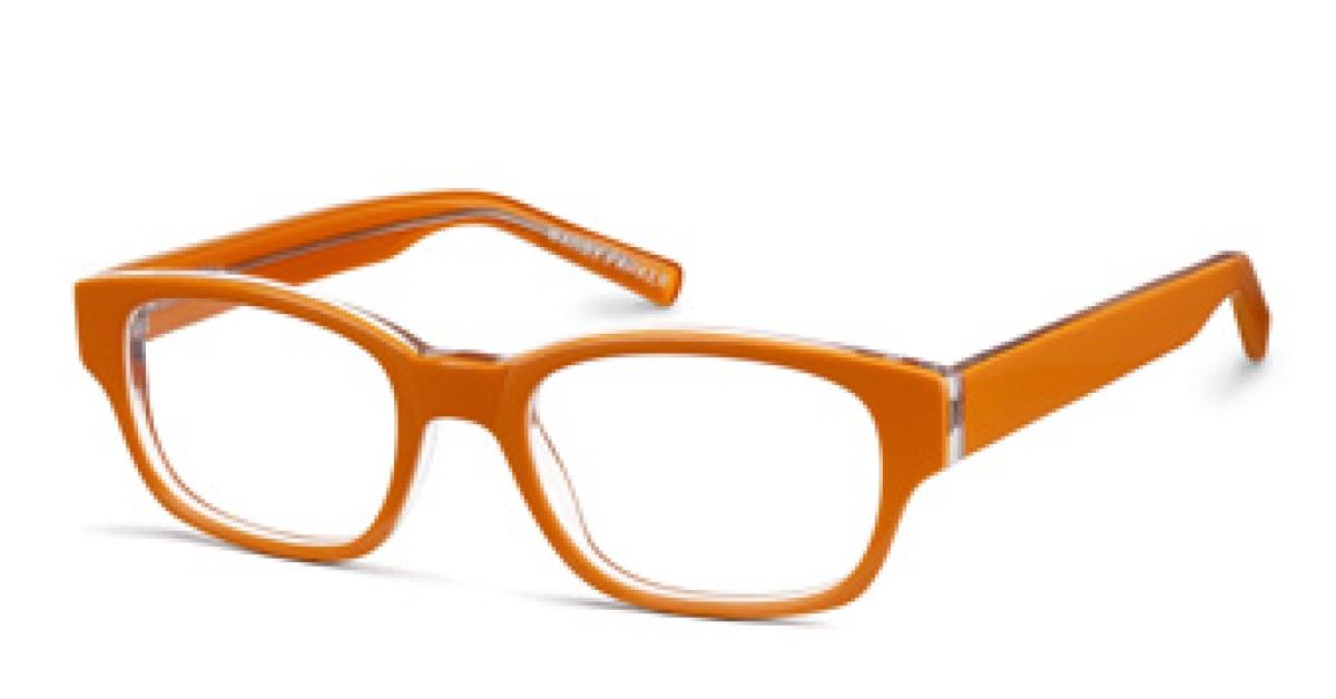 Participating Panelist Program