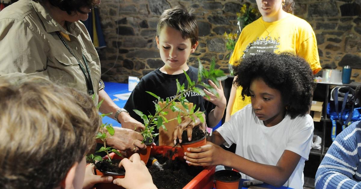 Planting seeds of knowledge